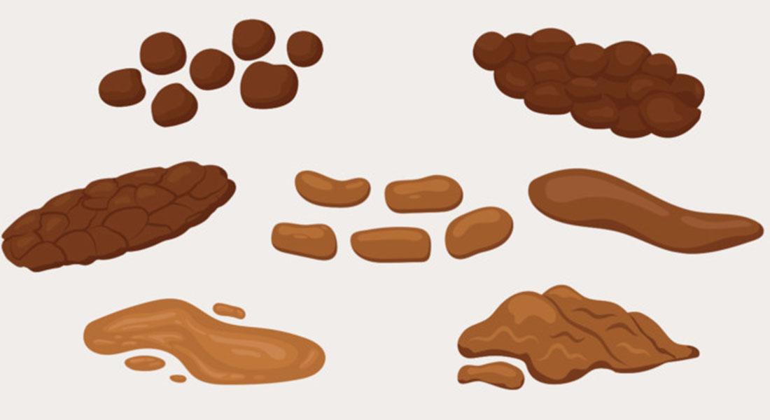 ICYMI: The Ultimate Poop Chart 💩 | Bulletproof Newsletter - InboxLetter